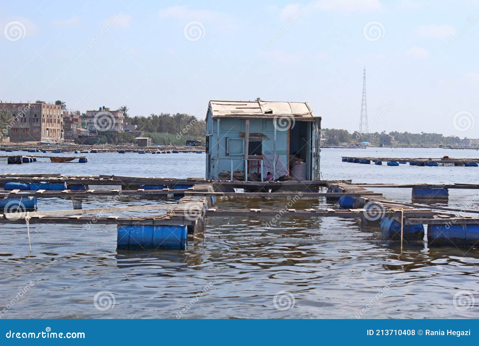 Basic Fish Farm in the Nile River in Rashid Stock Photo - Image of ...