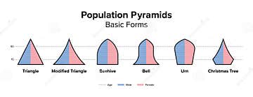Basic Forms of Population Pyramids Stock Illustration - Illustration of ...