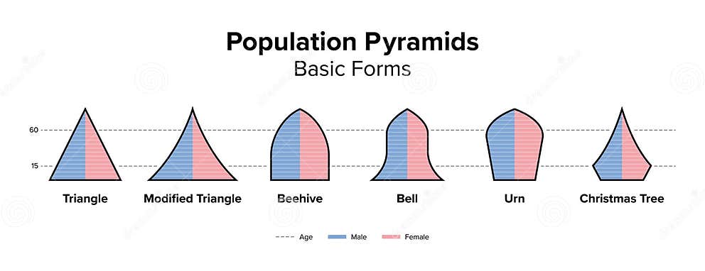 Basic Forms of Population Pyramids Stock Illustration - Illustration of ...