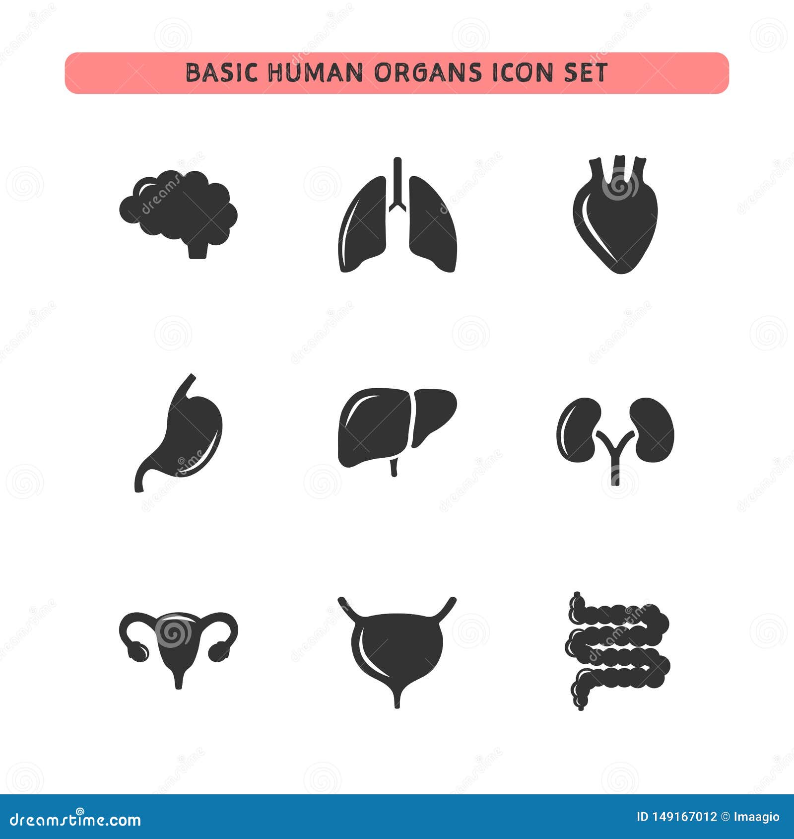 Basic Human Organs Icon Set Stock Vector - Illustration of human, icons ...