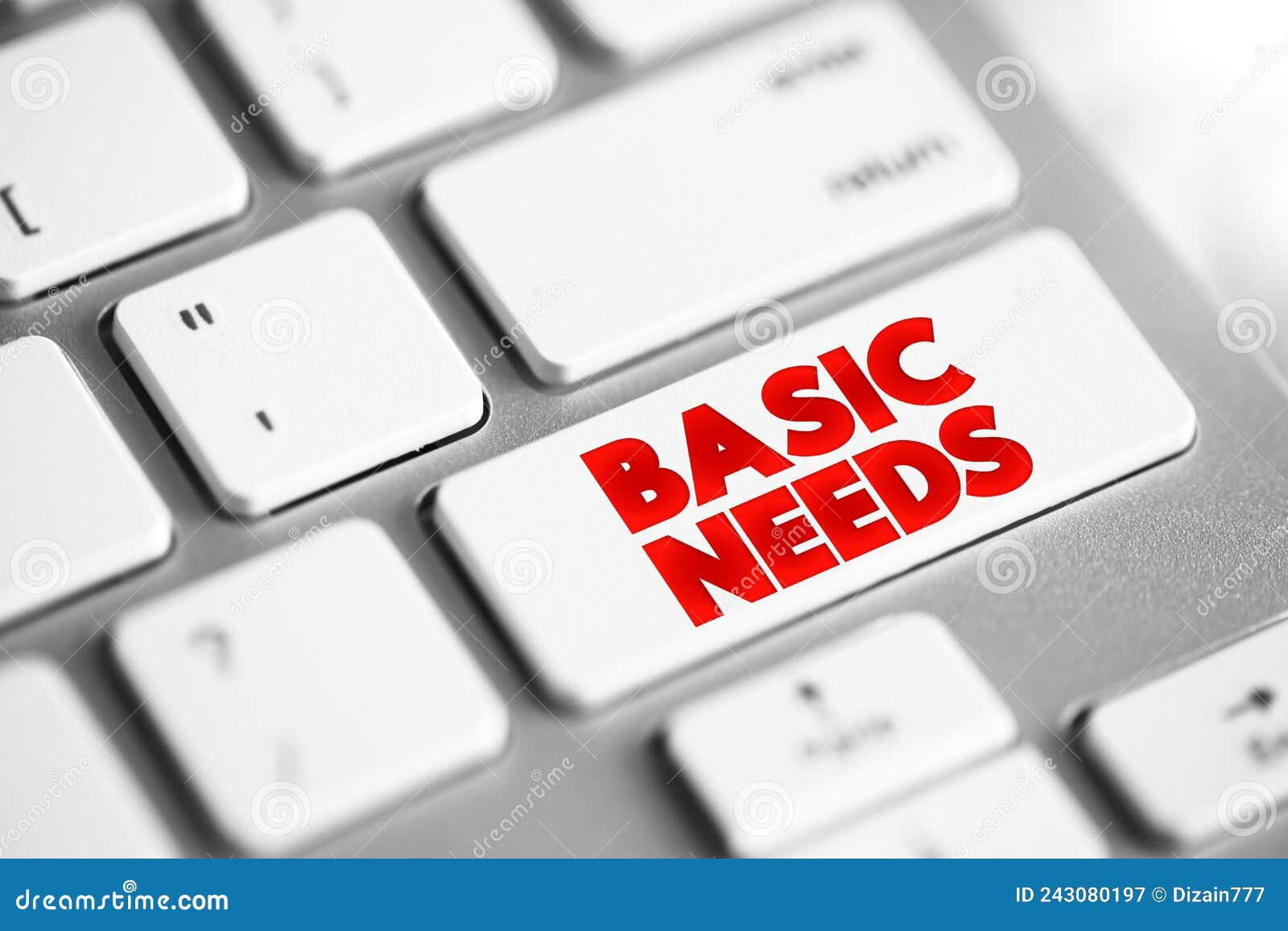 Basic Needs - One of the Major Approaches To the Measurement of ...