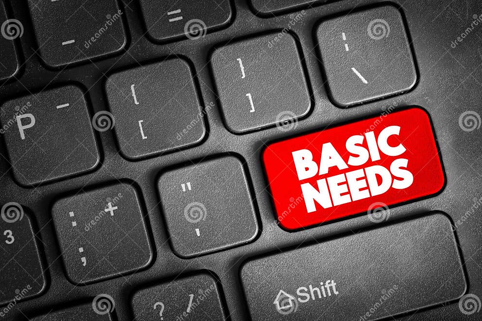Basic Needs - One of the Major Approaches To the Measurement of ...