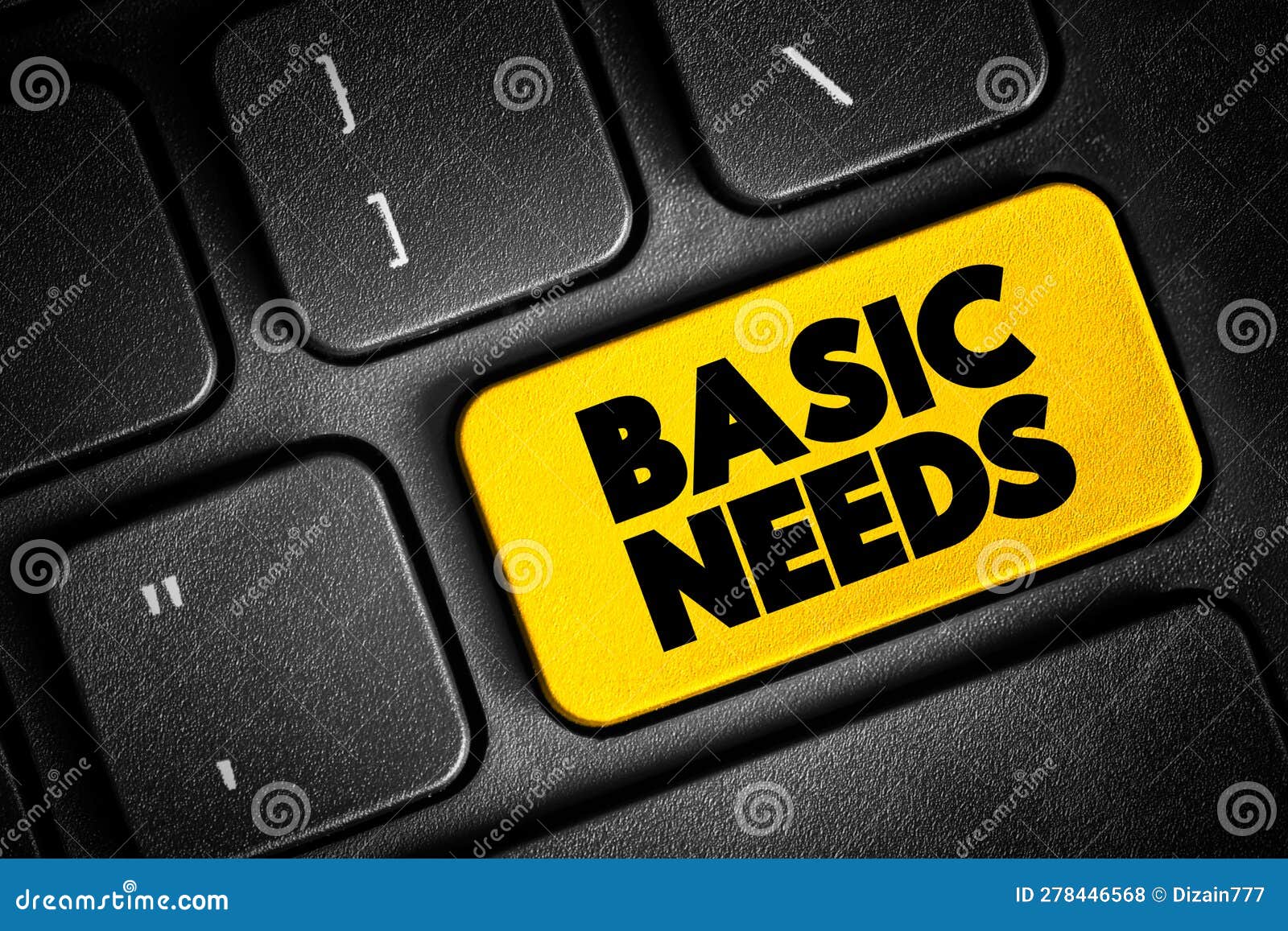 Basic Needs - One of the Major Approaches To the Measurement of ...