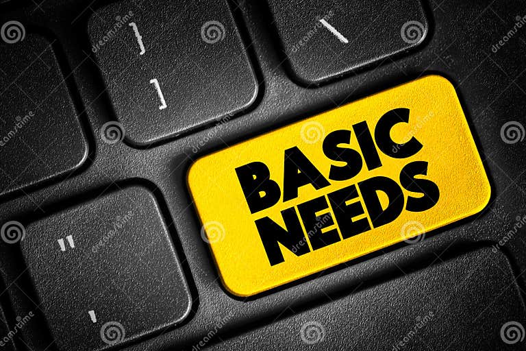 Basic Needs - One of the Major Approaches To the Measurement of ...