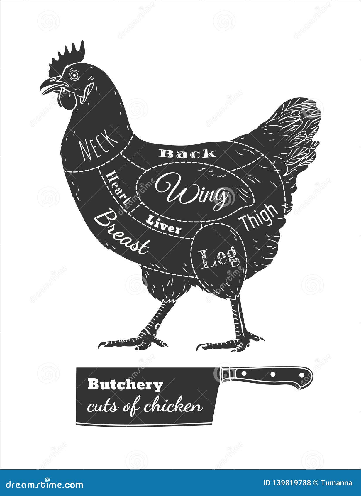 Cuts Of Chicken. Meat Cuts. Chicken Silhouette Isolated On Black ...