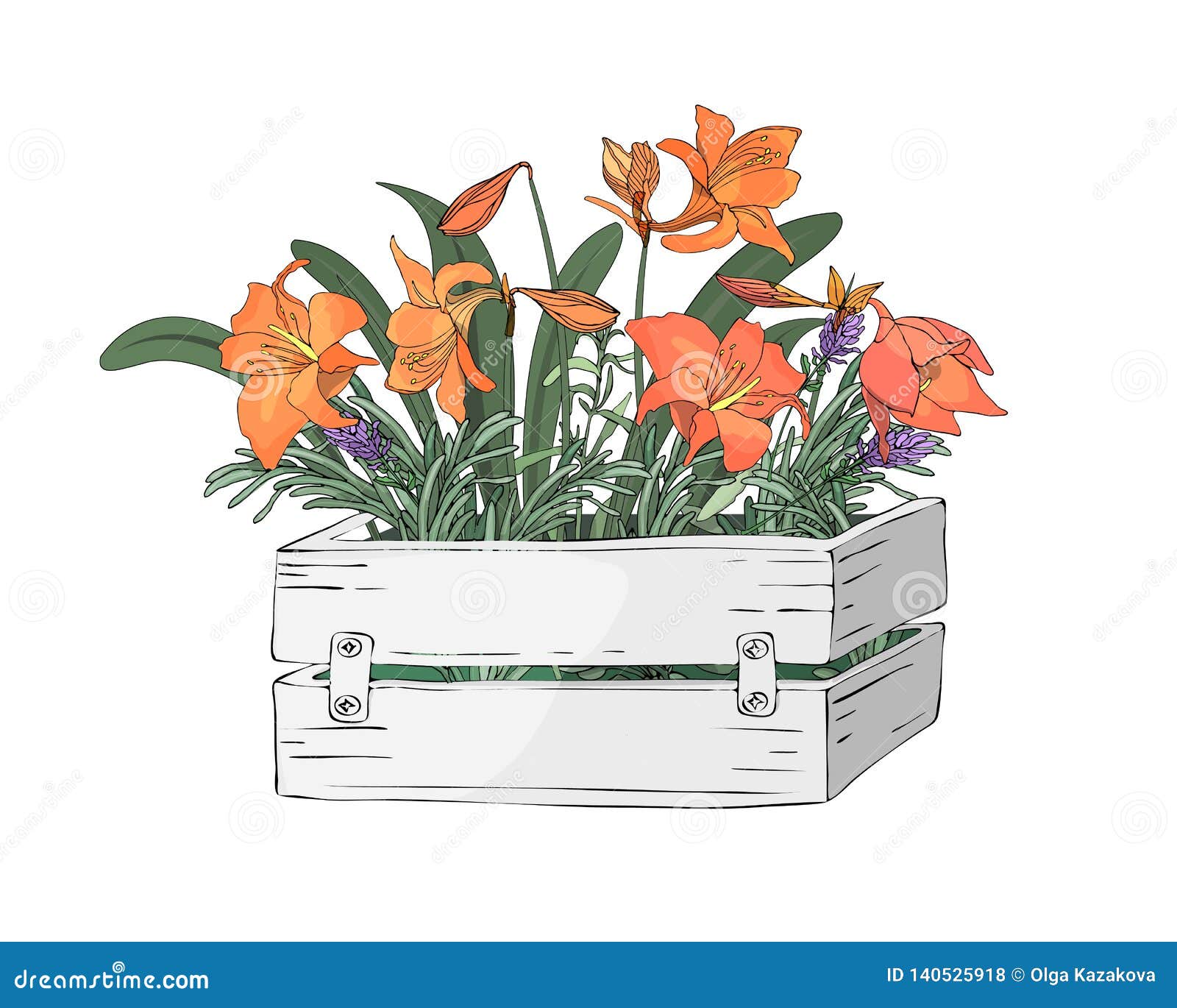 Garden Wooden Box with Herbs and Flowers. Stock Vector - Illustration ...