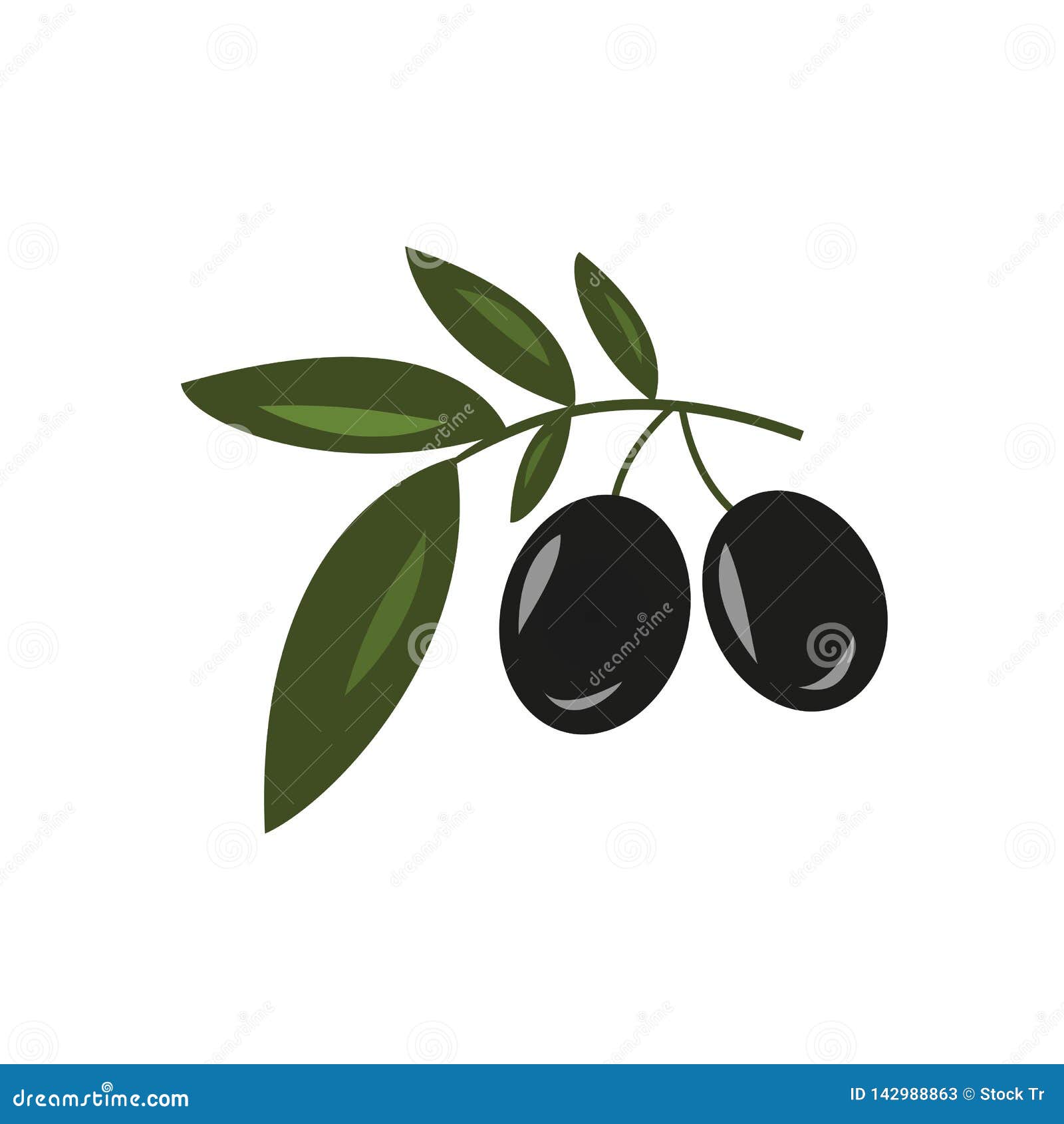 Two Black Olives Illustrated Stock Vector - Illustration of detail ...