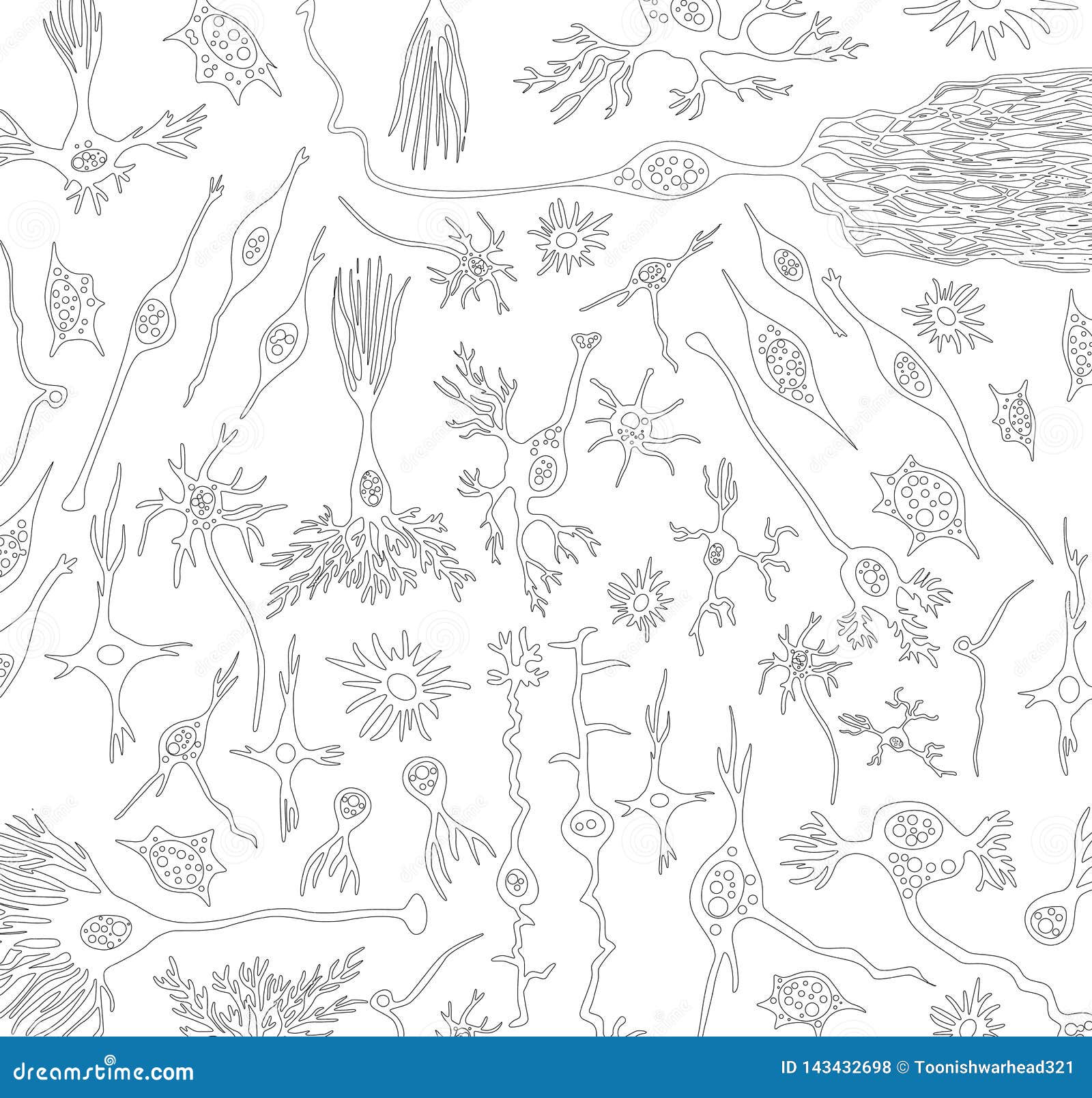 Neuroscience Doodle of Different Brain Cell Types Stock Illustration ...