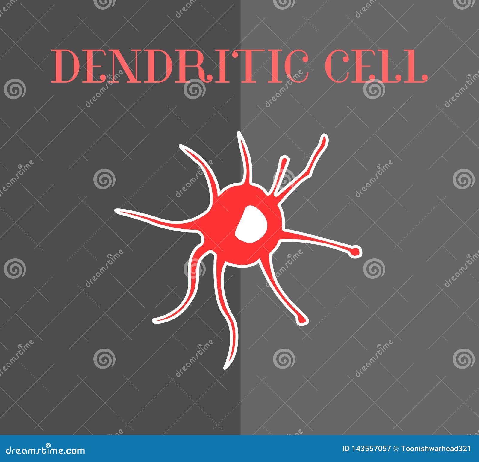 Illustration Dendrite Cell of the Human Immune System Stock ...
