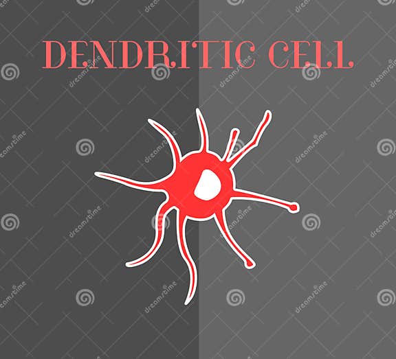 Illustration Dendrite Cell of the Human Immune System Stock ...