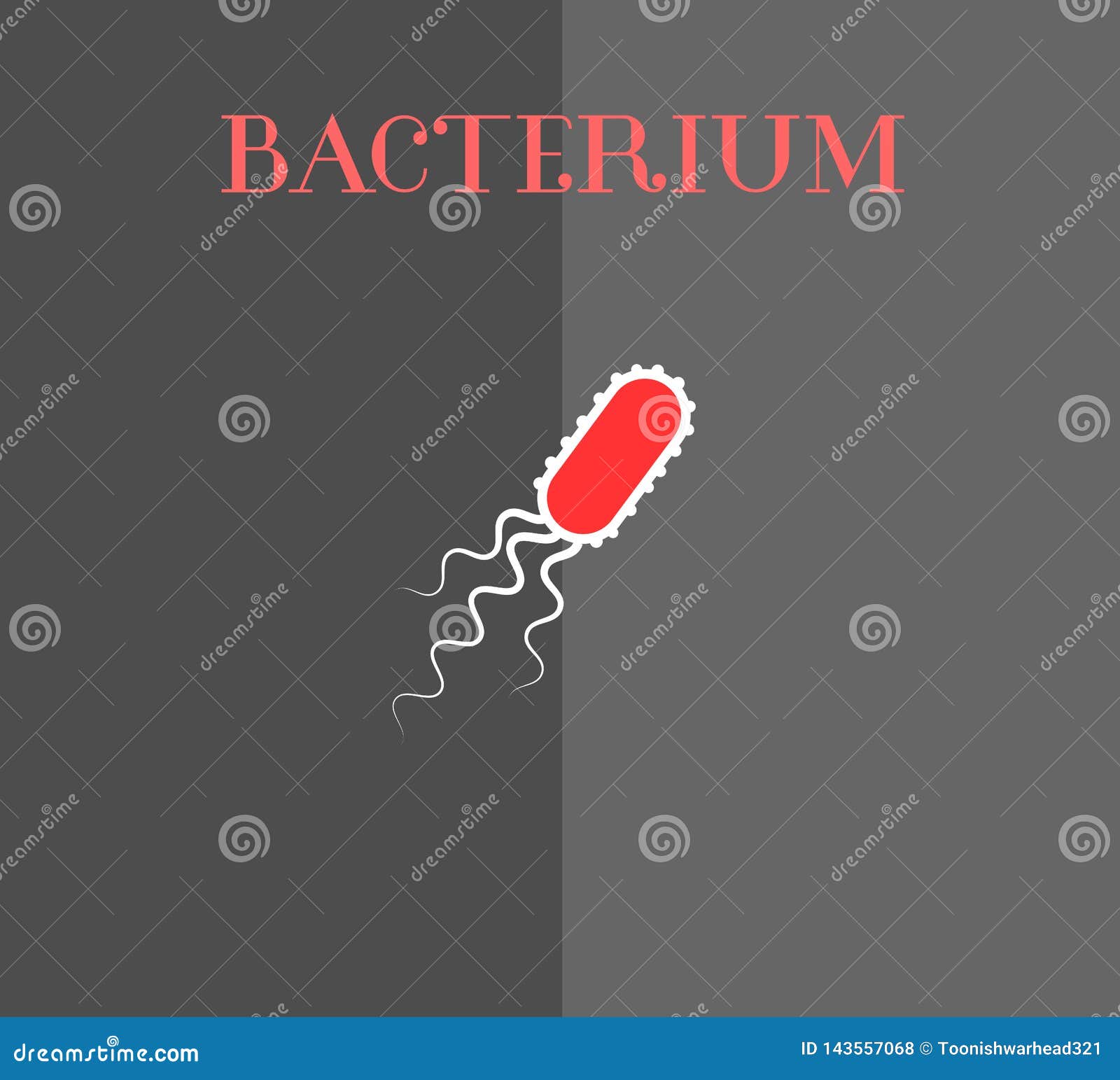 Swimming Bacteria E. Coli Biomedical Illustration Stock Illustration ...