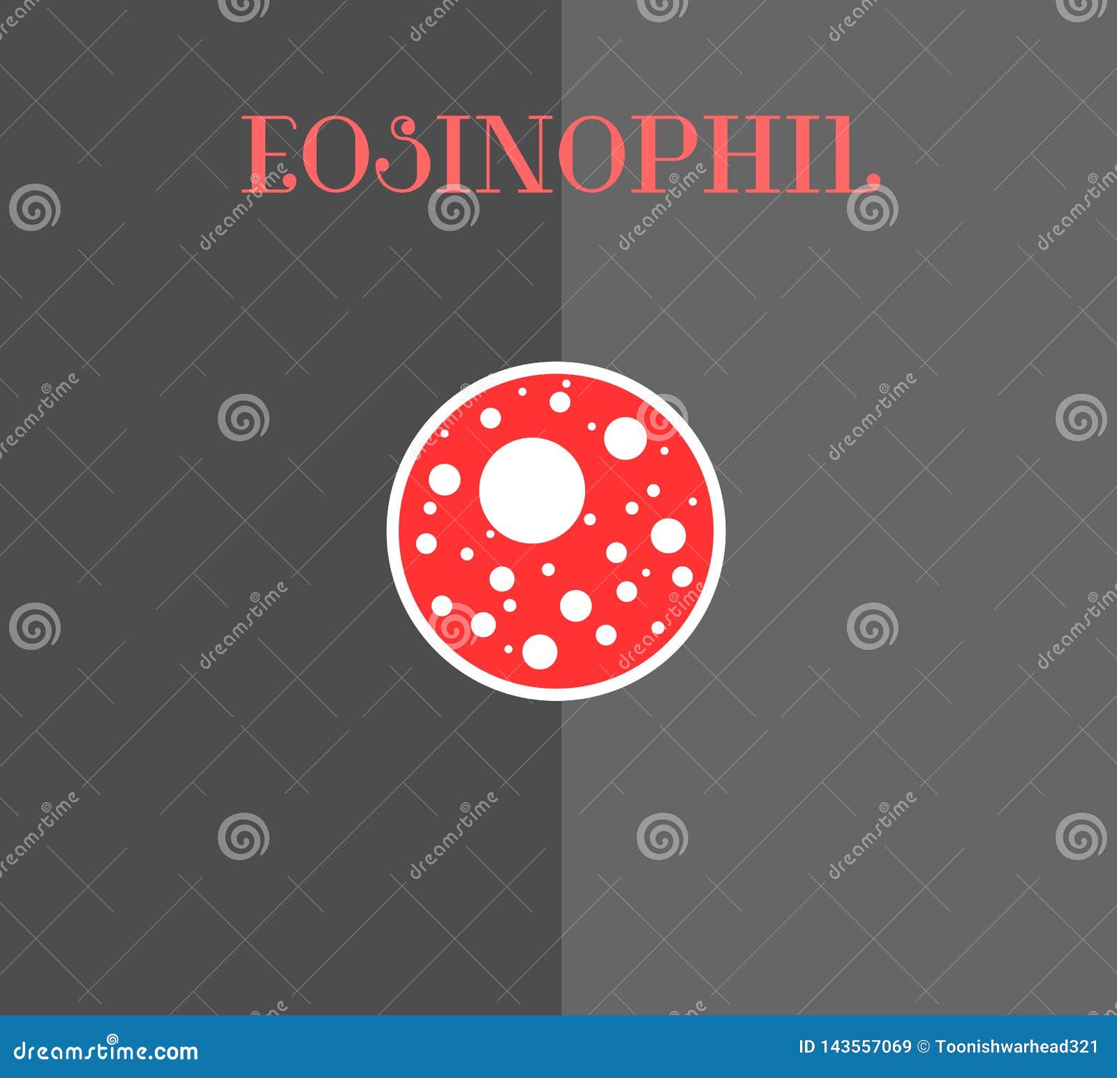 Eosinophil Cell Stylized Explorer Having A Compass Cartoon Vector ...