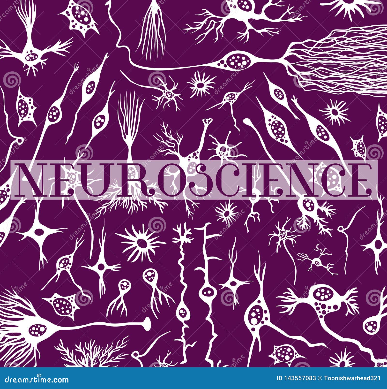 Neuroscience Illustration Showing Different Brain Cell Types. Stock ...