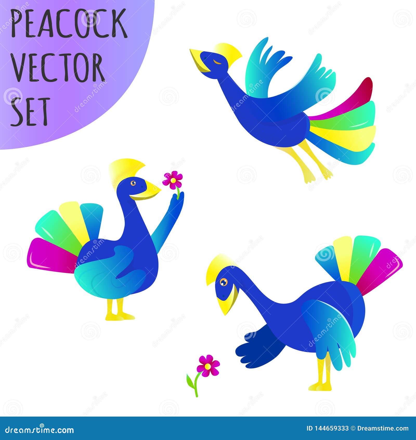 Peacocks vector set stock vector. Illustration of exotic - 144659333