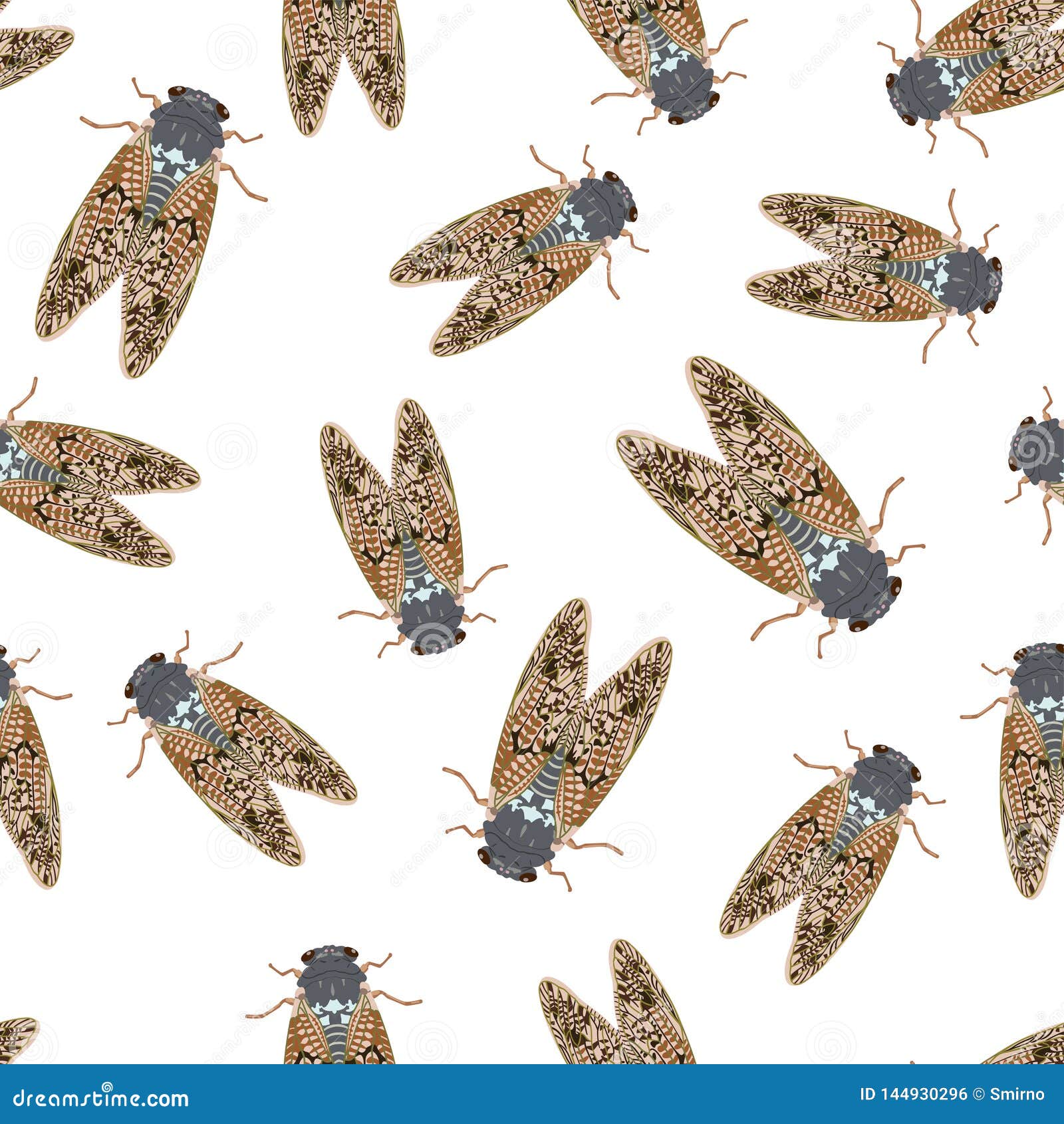 Seamless Pattern with Exotic Cicada Flies. Stock Vector - Illustration ...
