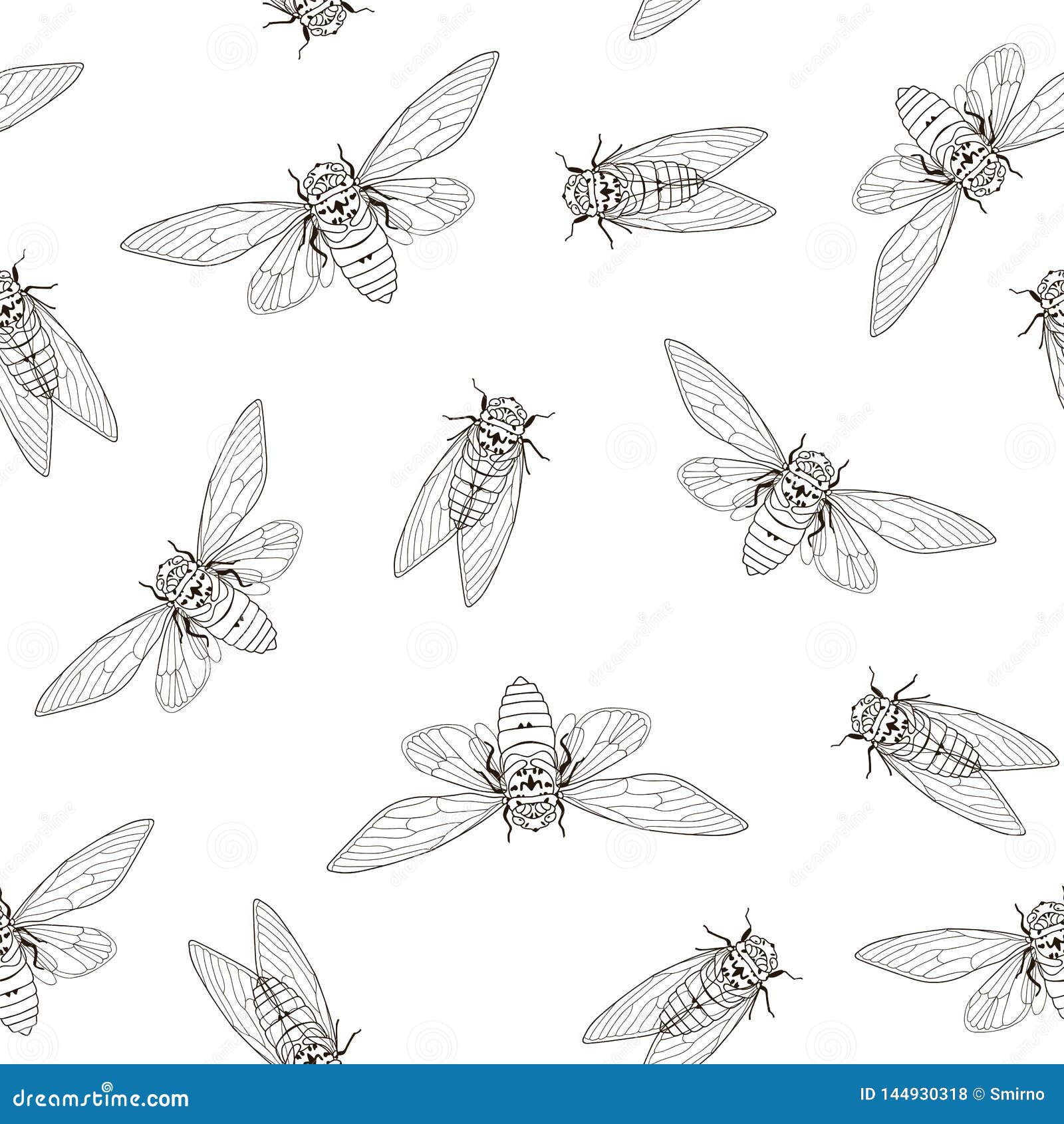 Simple Cicada Drawing