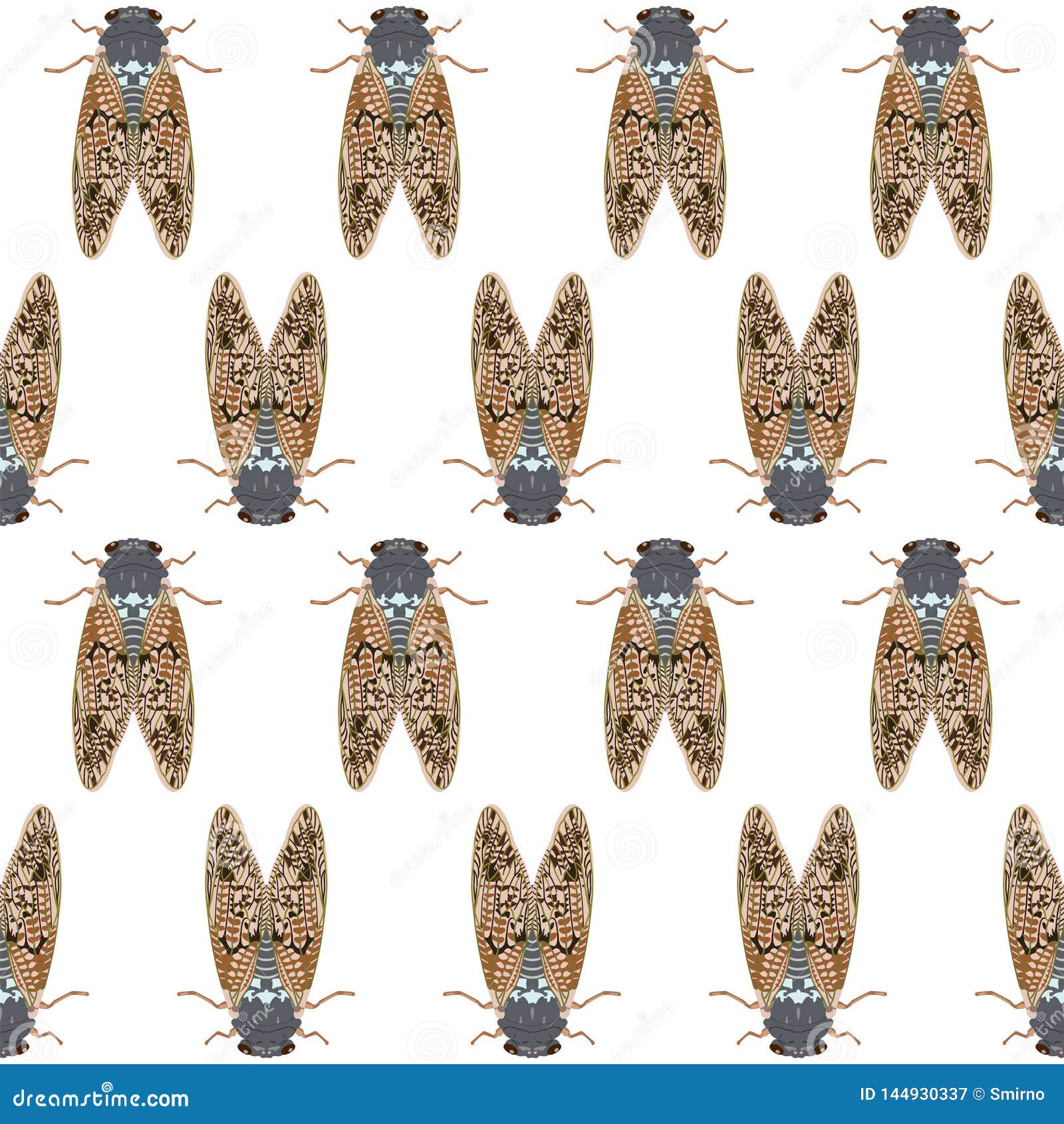 Seamless Pattern with Exotic Cicada Flies. Stock Vector - Illustration ...