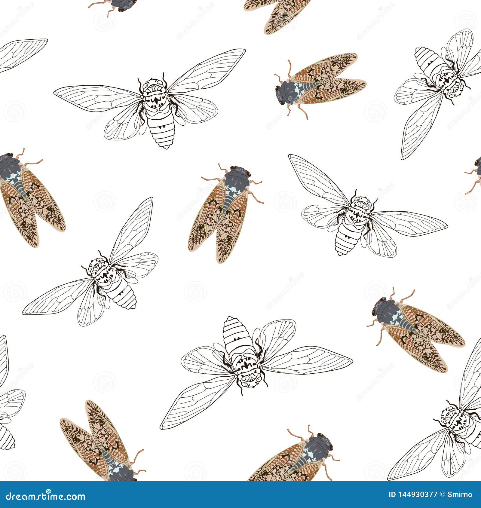 Seamless Pattern with Exotic Cicada Flies. Stock Vector - Illustration ...