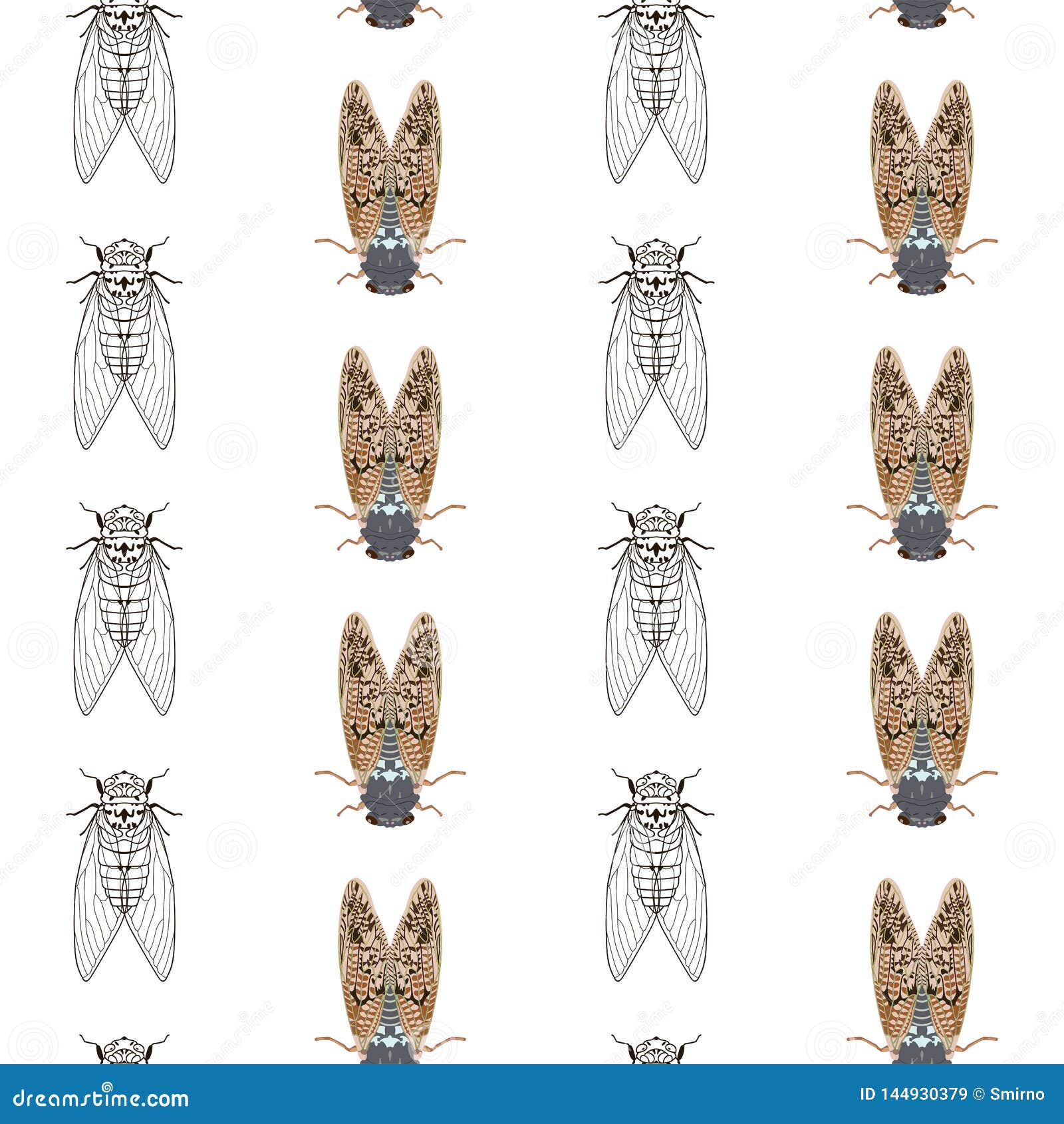 Seamless Pattern with Exotic Cicada Flies. Stock Vector - Illustration ...