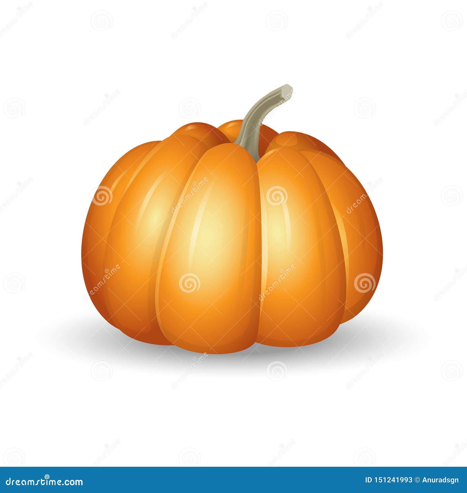 Orange Pumpkin - Cartoon Vector Illustration Isolated on White ...