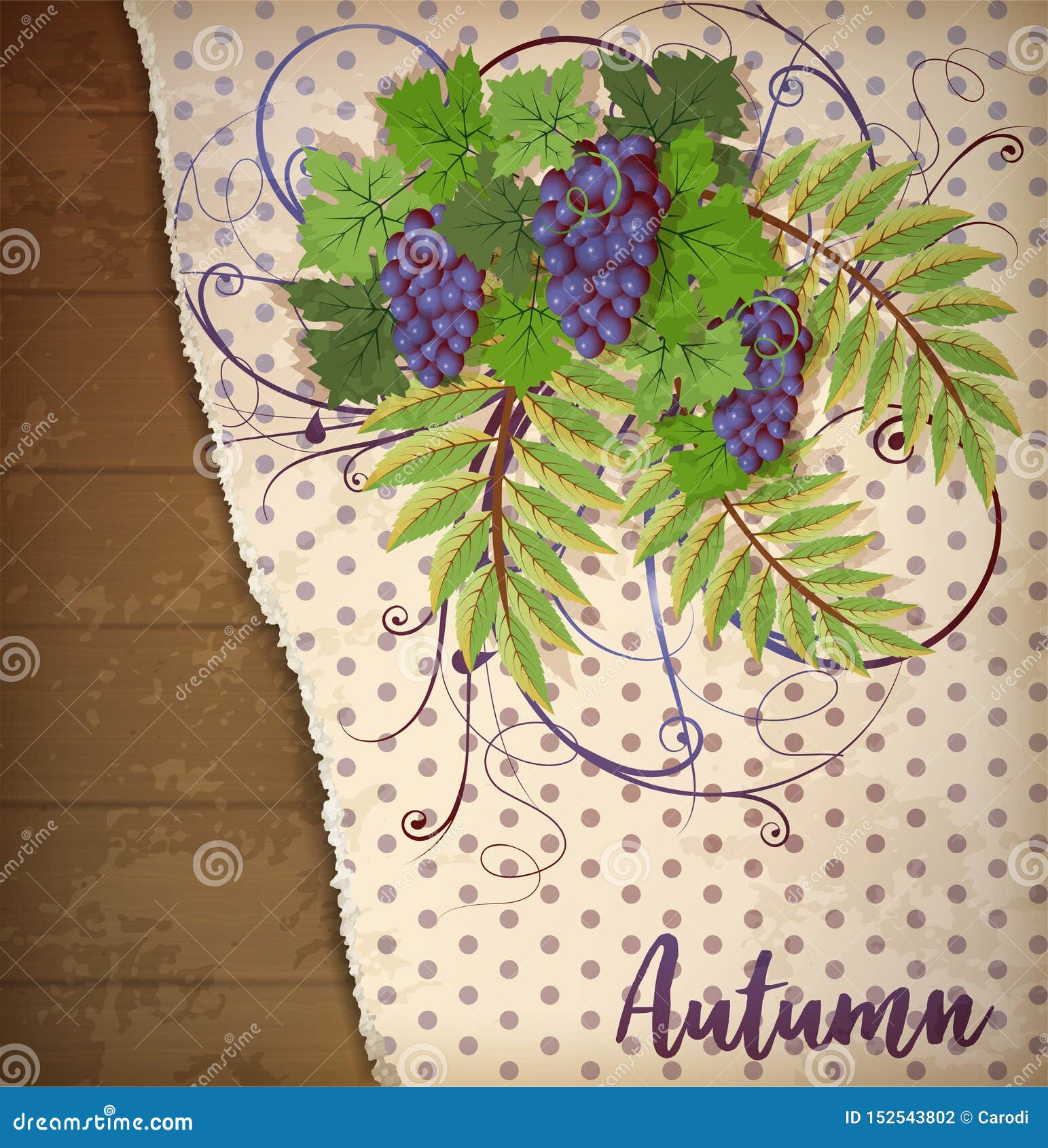 Autumn Invitation Card with Grape, Vector Stock Vector - Illustration ...