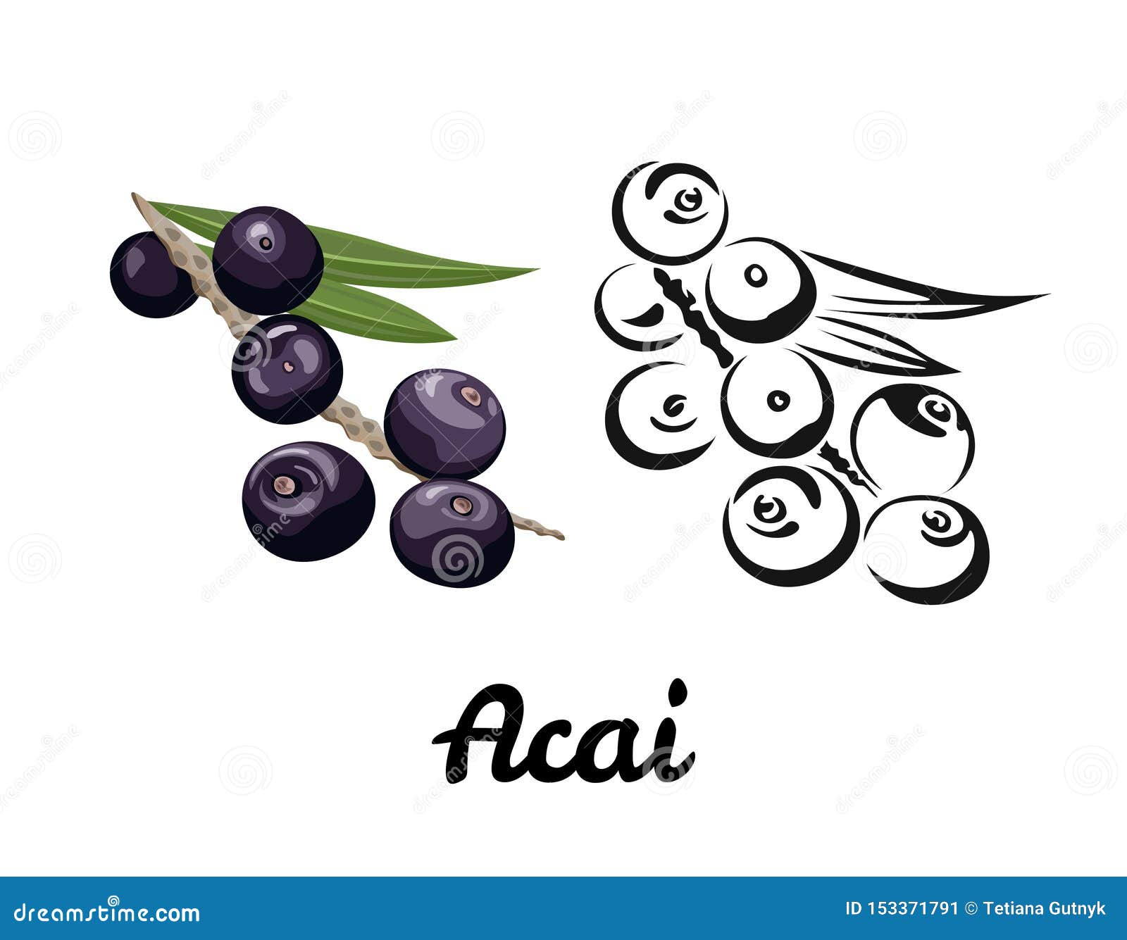 Acai Berry Logo