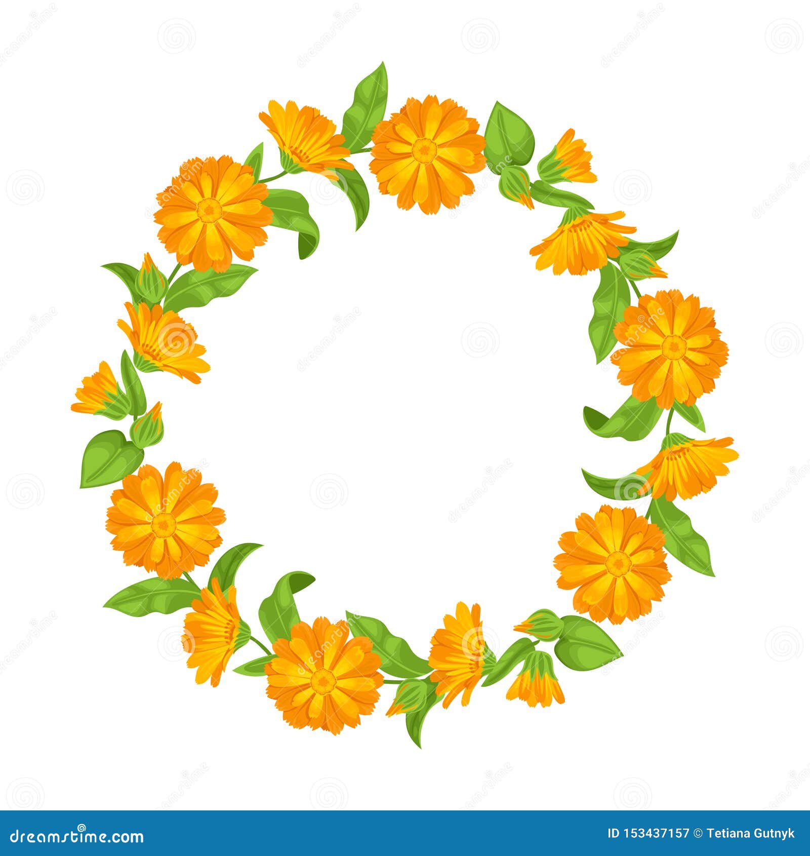Calendula Wreath with Leaves and Flowers. Stock Vector - Illustration ...