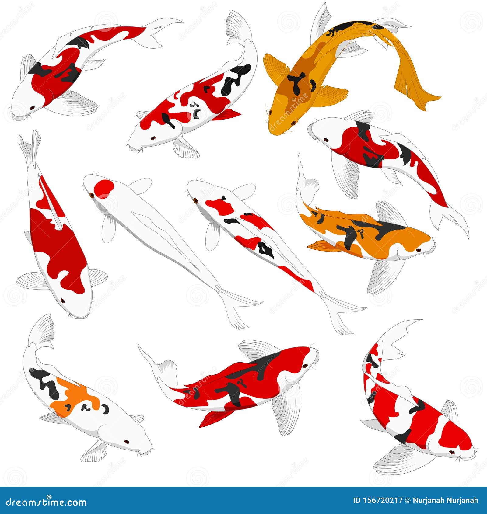 Fish design elements stock vector. Illustration of golden - 156720217