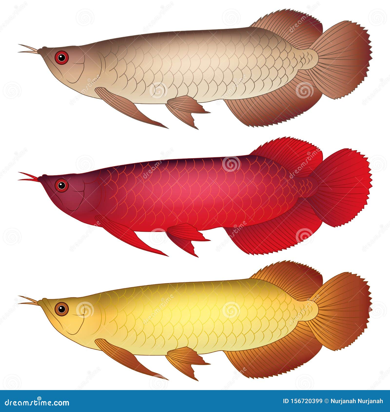 Arowana Fish Cartoon Vector | CartoonDealer.com #156720399