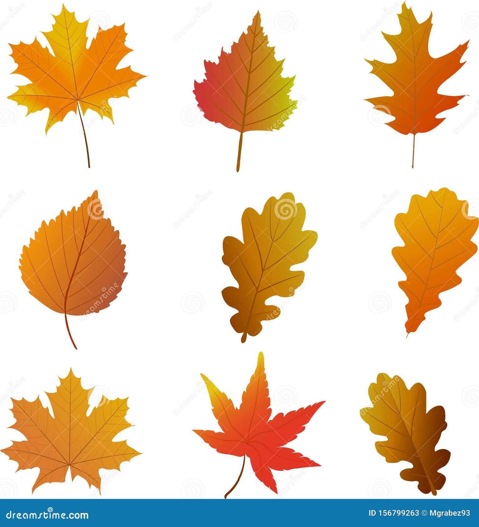 Realistic Looking Autumn Leaves Vector Stock Vector - Illustration of ...