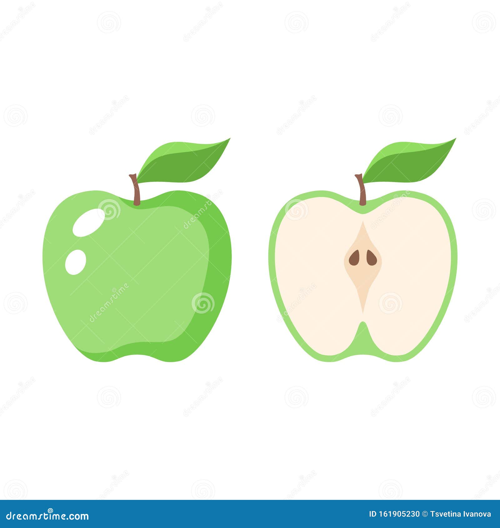 Green Apple and a Half Apple Colorful Vector Illustration. Stock Vector ...