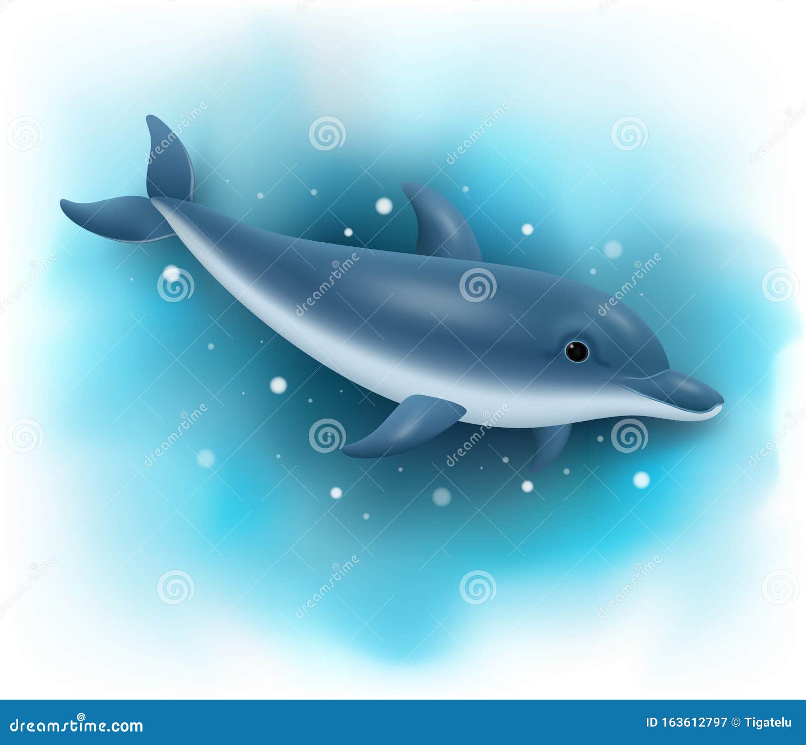 Cartoon Dolphin Character Riding A Tricycle Going To School Vector ...