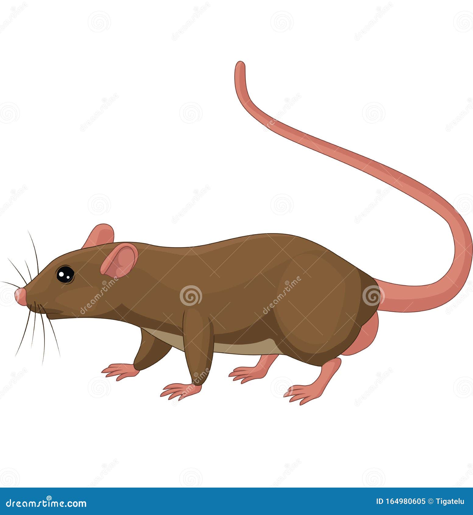 Cartoon Rat on White Background Stock Vector - Illustration of cute ...