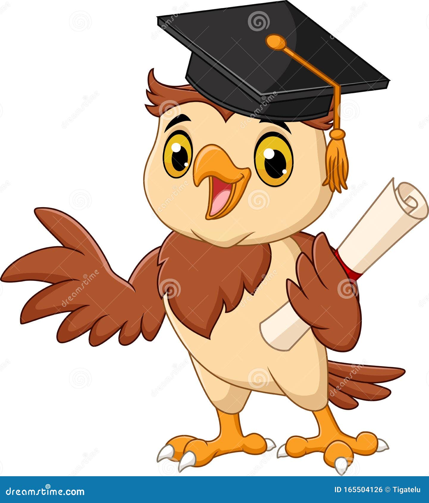 Cartoon Owl Wearing Graduation Cap Holding Diploma Stock Vector ...