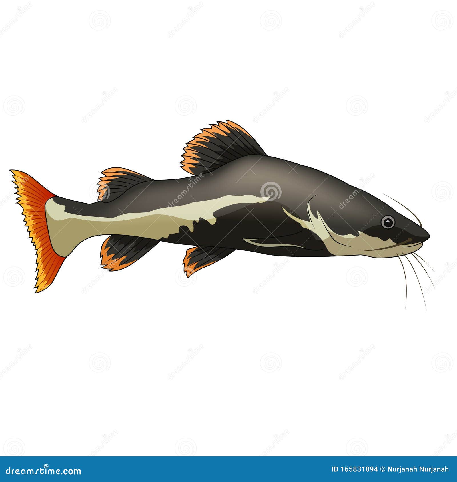 Cartoon funny catfish stock vector. Illustration of happy - 165831894