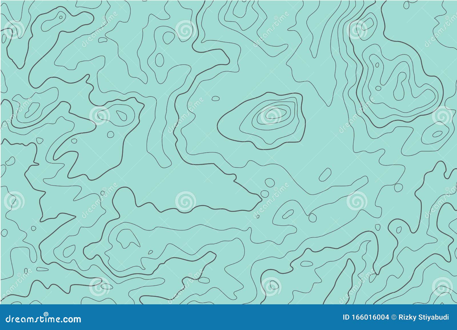 The Stylized Height Of The Topographic Contour Map Cartoon Vector ...