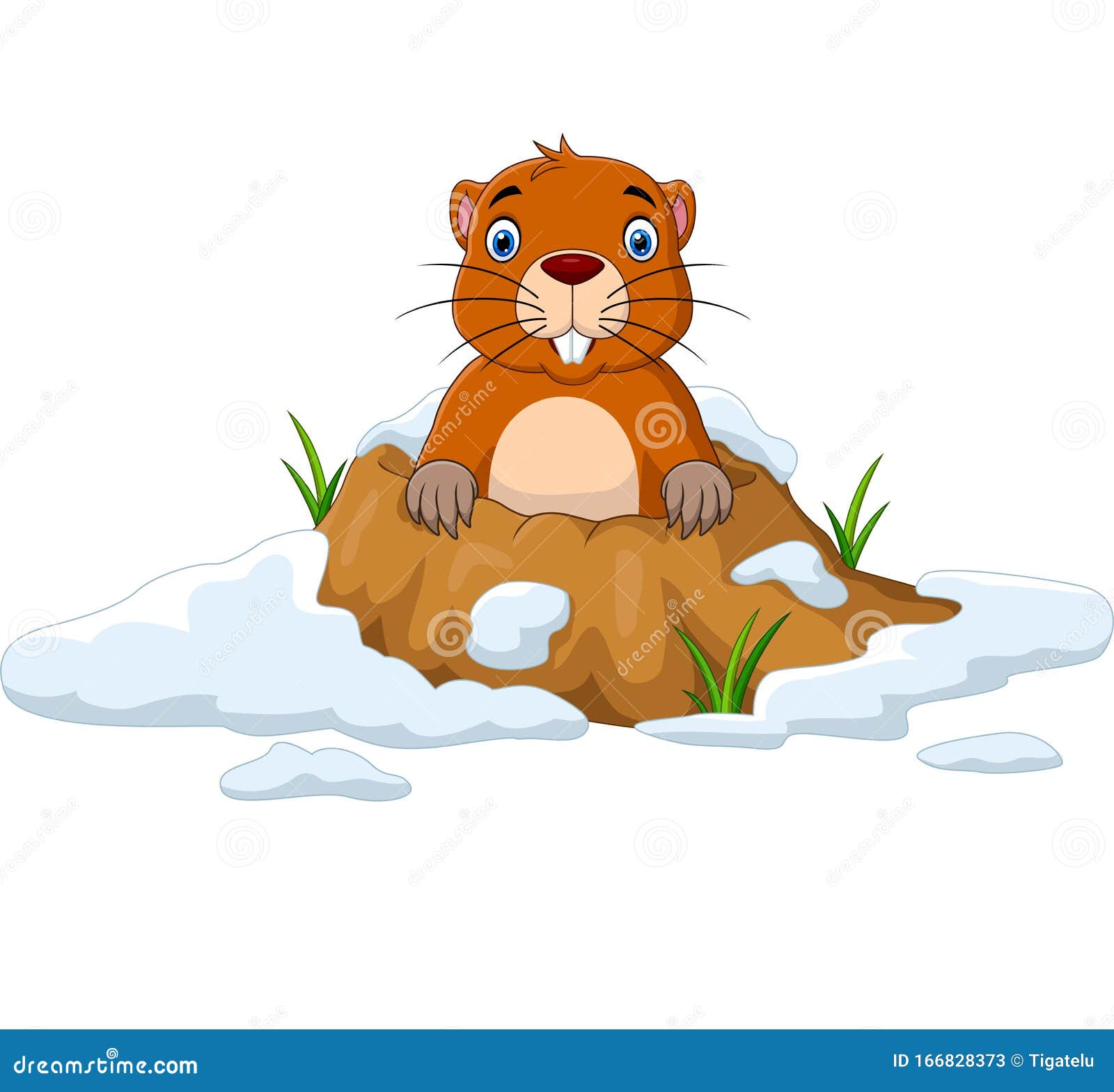 Cartoon Groundhog With Umbrella Vector Illustration | CartoonDealer.com ...