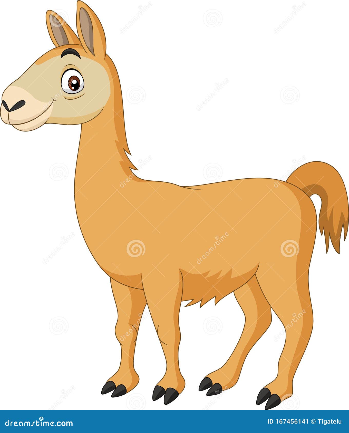 Cartoon Llama Set. Set Of Cute Llama Stickers Or Badges Isolated ...