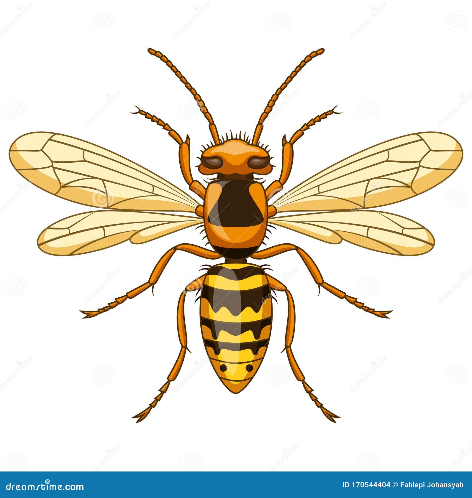 Wasp Insect, Bumble Bee Top View In Cartoon Style, Realistic Bug ...