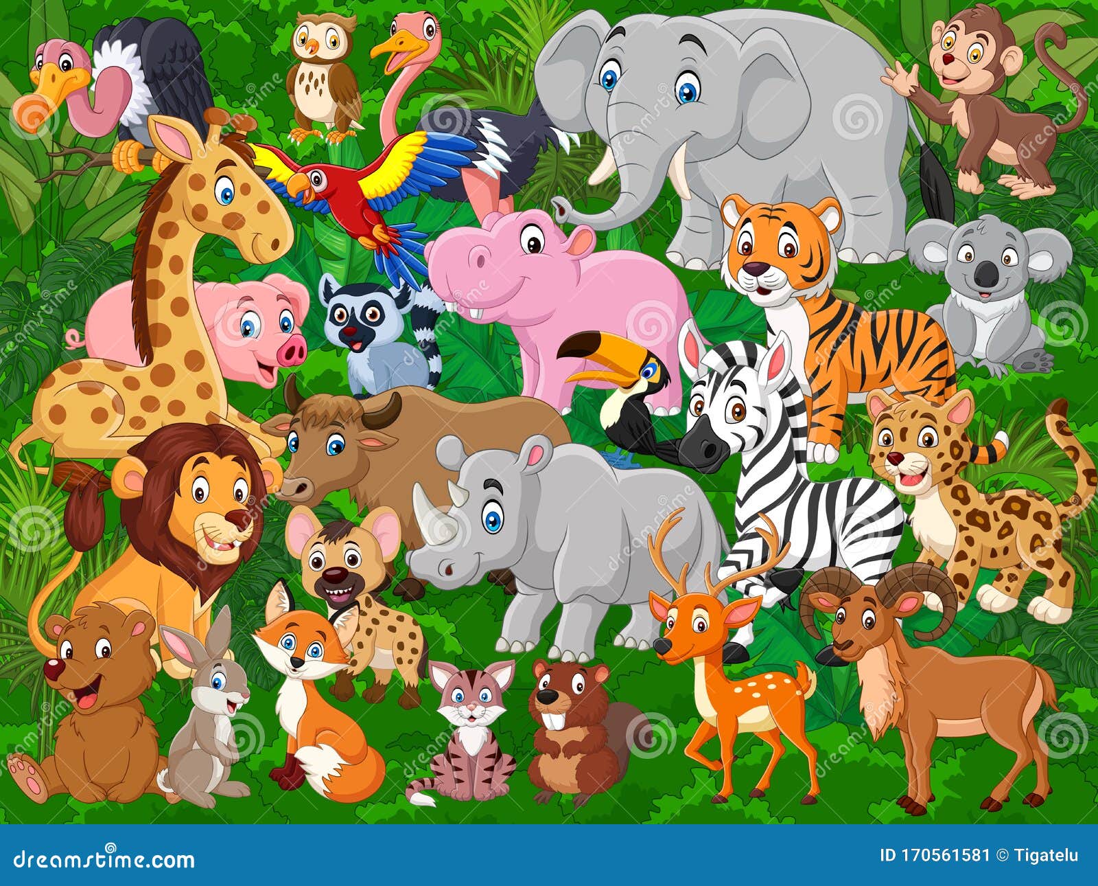 Cartoon Wild Animals Collection Set Stock Vector - Illustration of ...