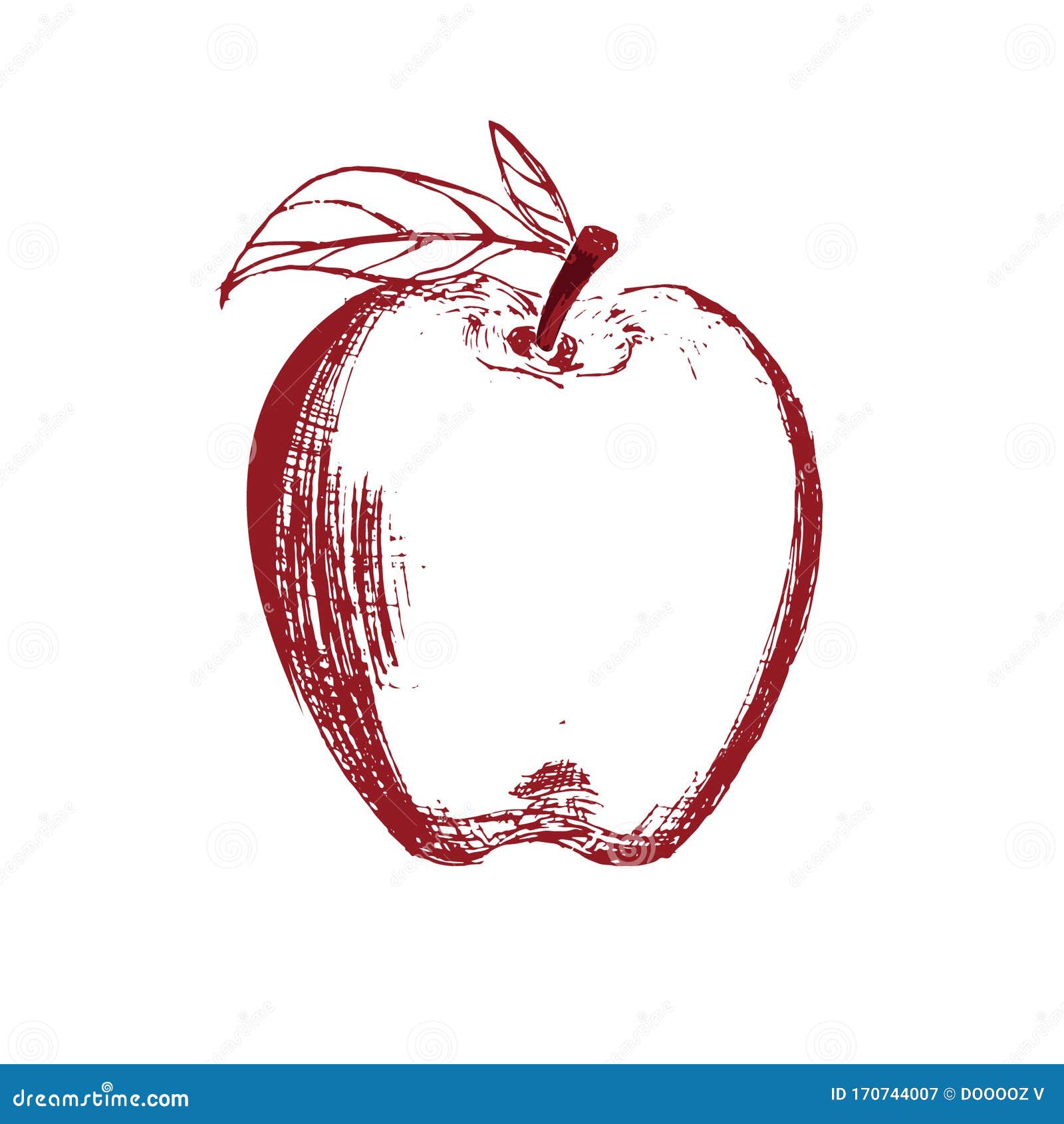 Hand drawn apple stock vector. Illustration of drawn - 170744007