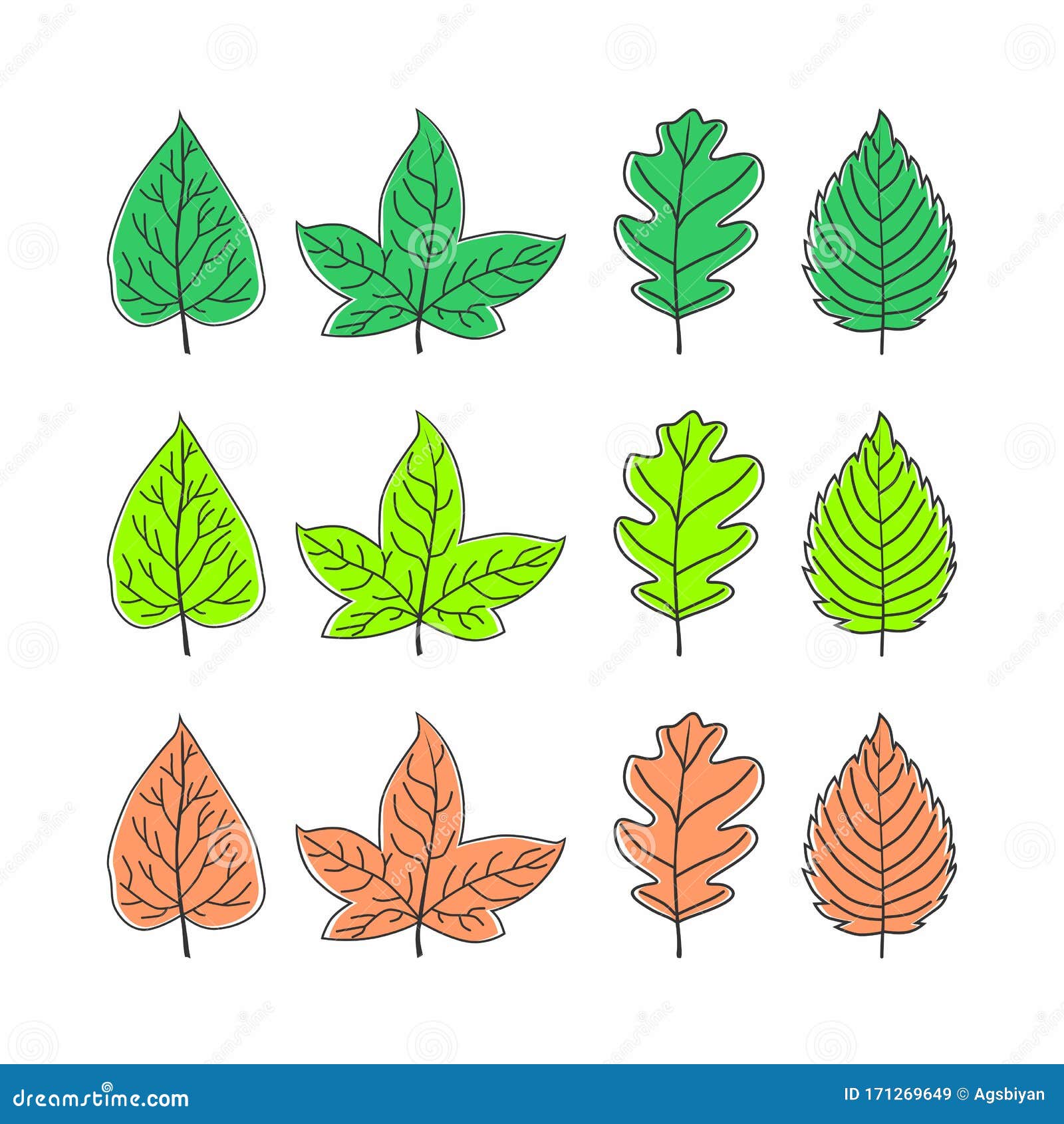 Several Types of Leaves in Different Colors Stock Vector - Illustration ...