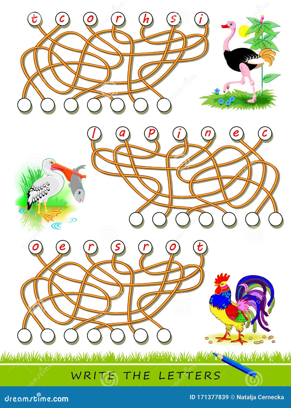 Birds Maze Labyrinth Activity Sheet Royalty-Free Stock Photo ...