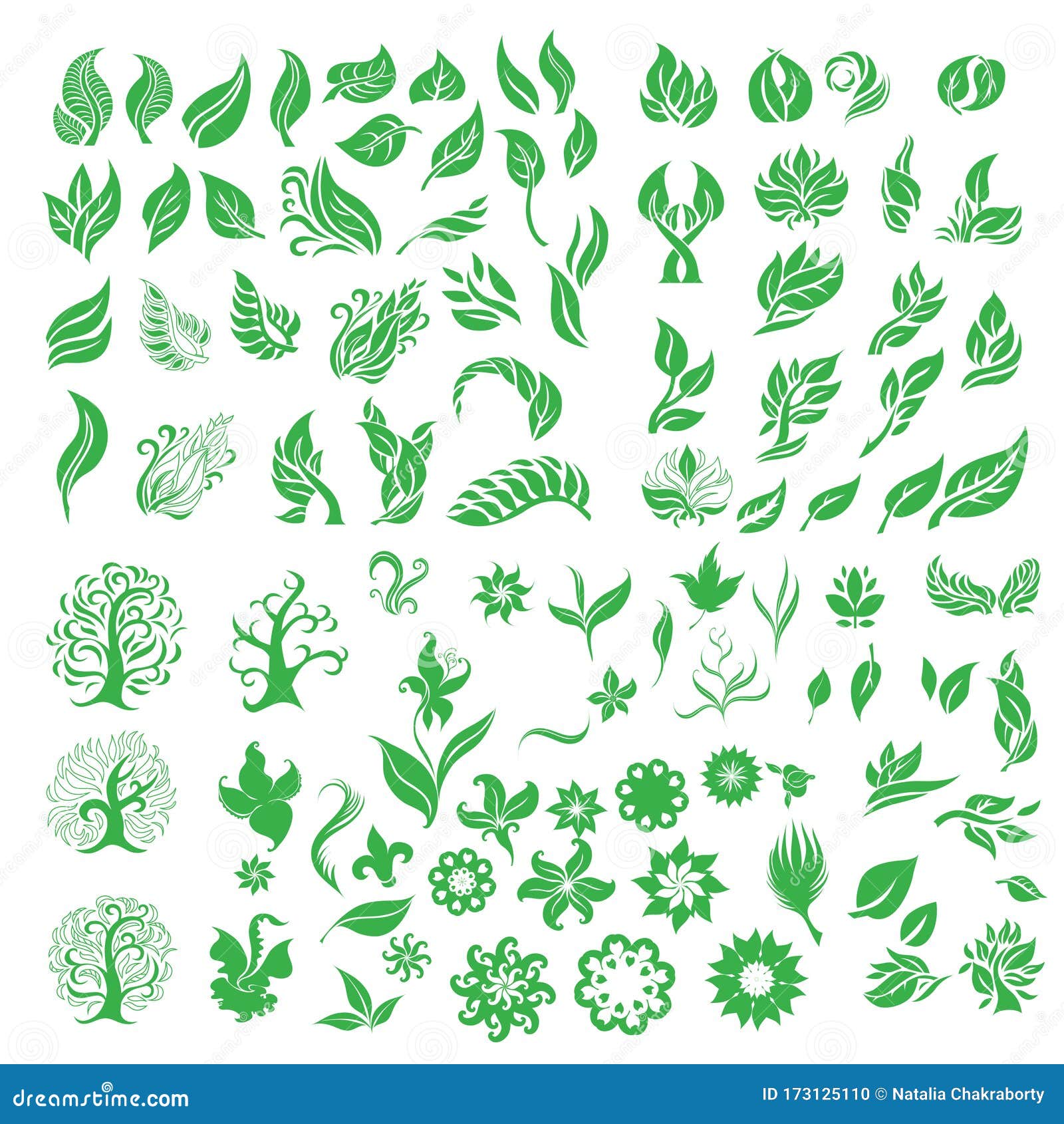 Natural Plants and Flowers Design Stock Vector - Illustration of botany ...