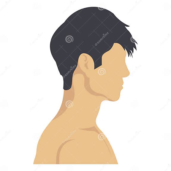 Basic RGB Face, Hair Vector Illustration Icon Which Can Easily Modify ...