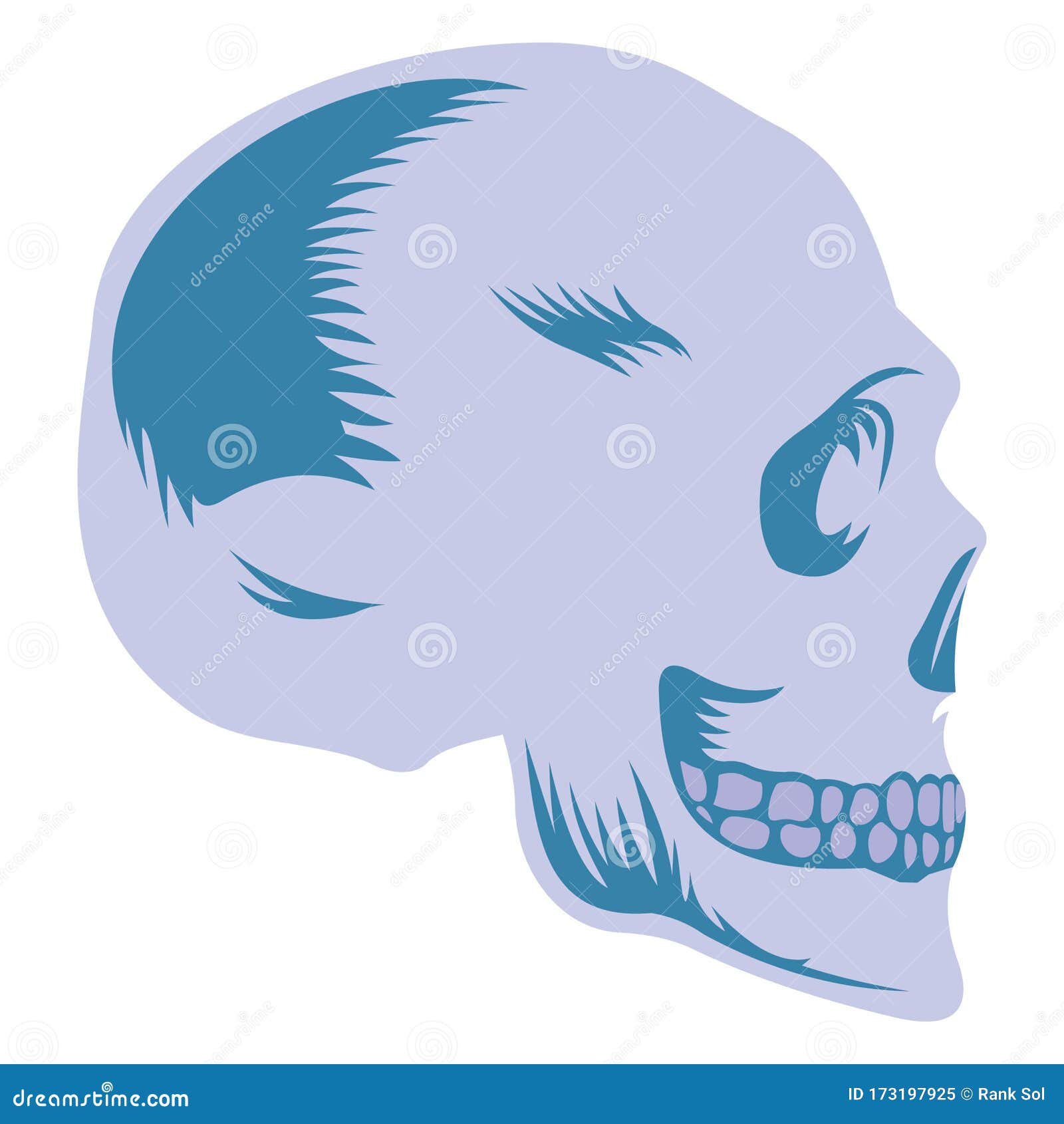 Basic RGB Human Skull, Skull Skeleton Vector Illustration Icon Which ...