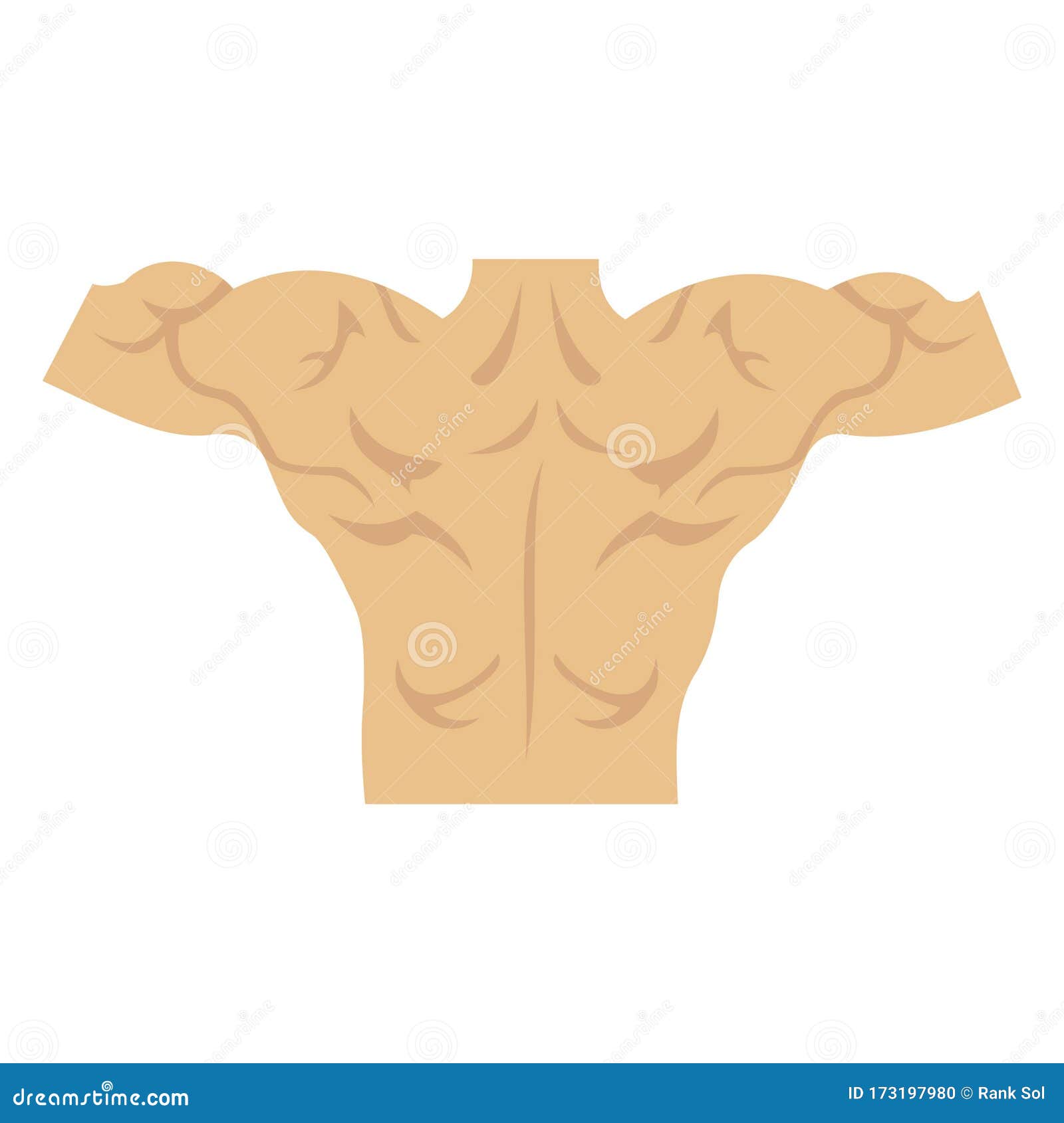 Basic RGB Anatomy, Back Vector Illustration Icon Which Can Easily ...