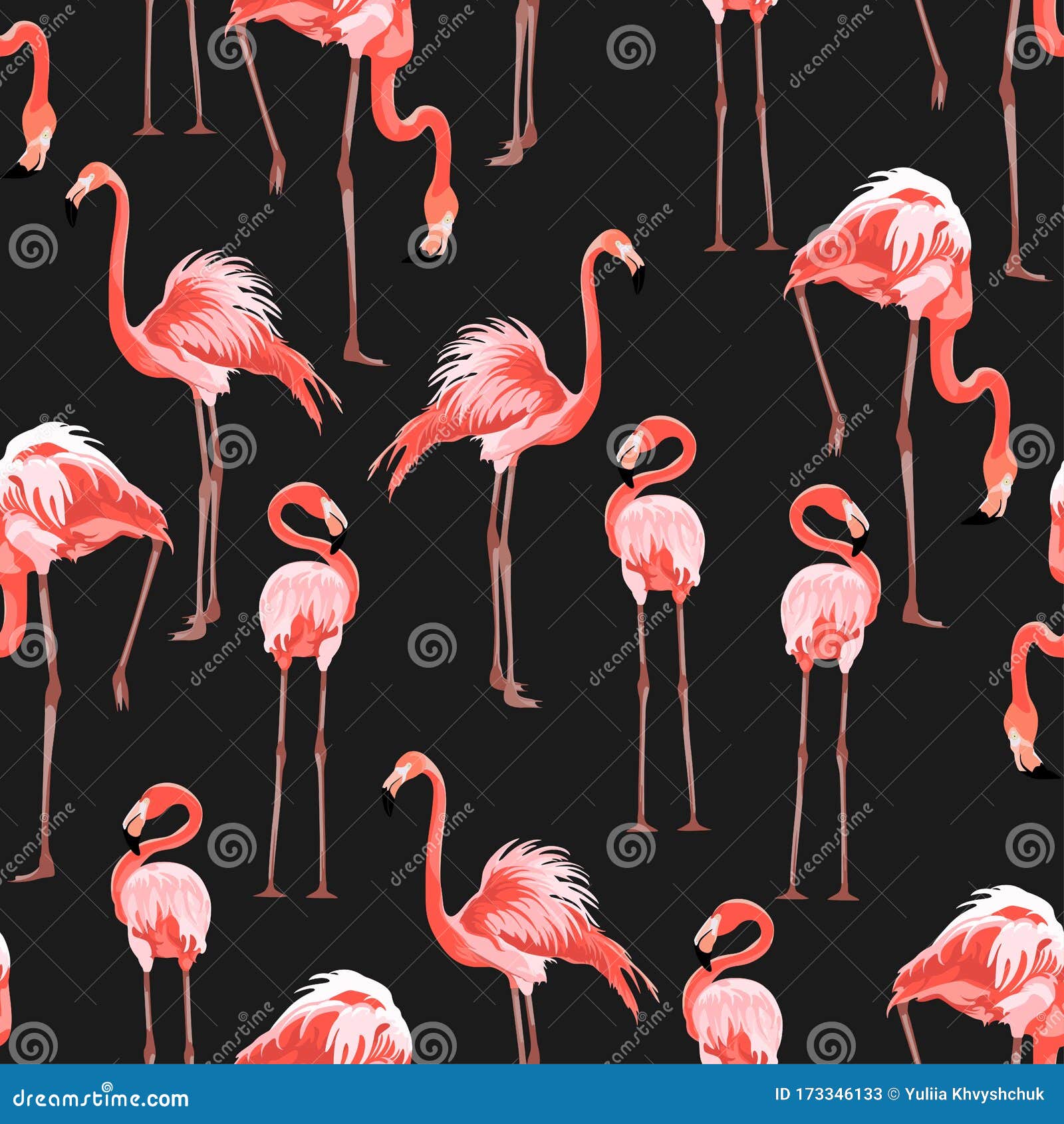 Flamingo Black Outline Sketch Seamless Vector Texture. | CartoonDealer ...