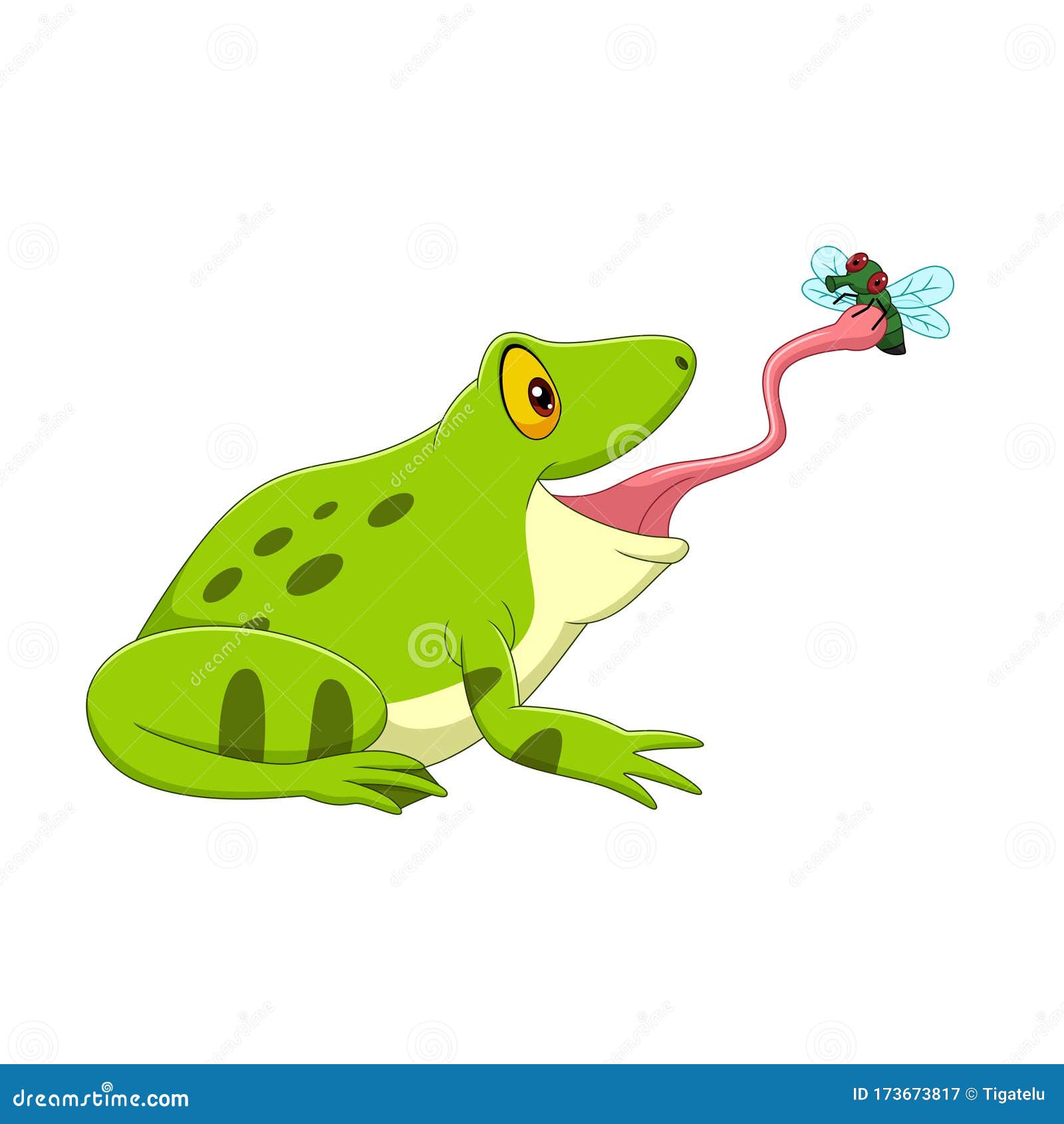 Cartoon Frog Catching a Fly Stock Vector - Illustration of lick ...