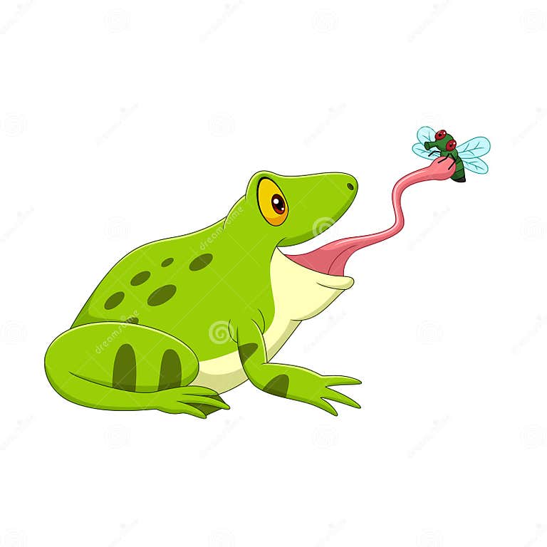 Cartoon Frog Catching a Fly Stock Vector - Illustration of lick ...